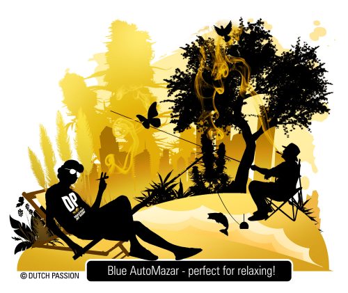Blue Auto Mazar ® Archives - Dutch Passion Blogs