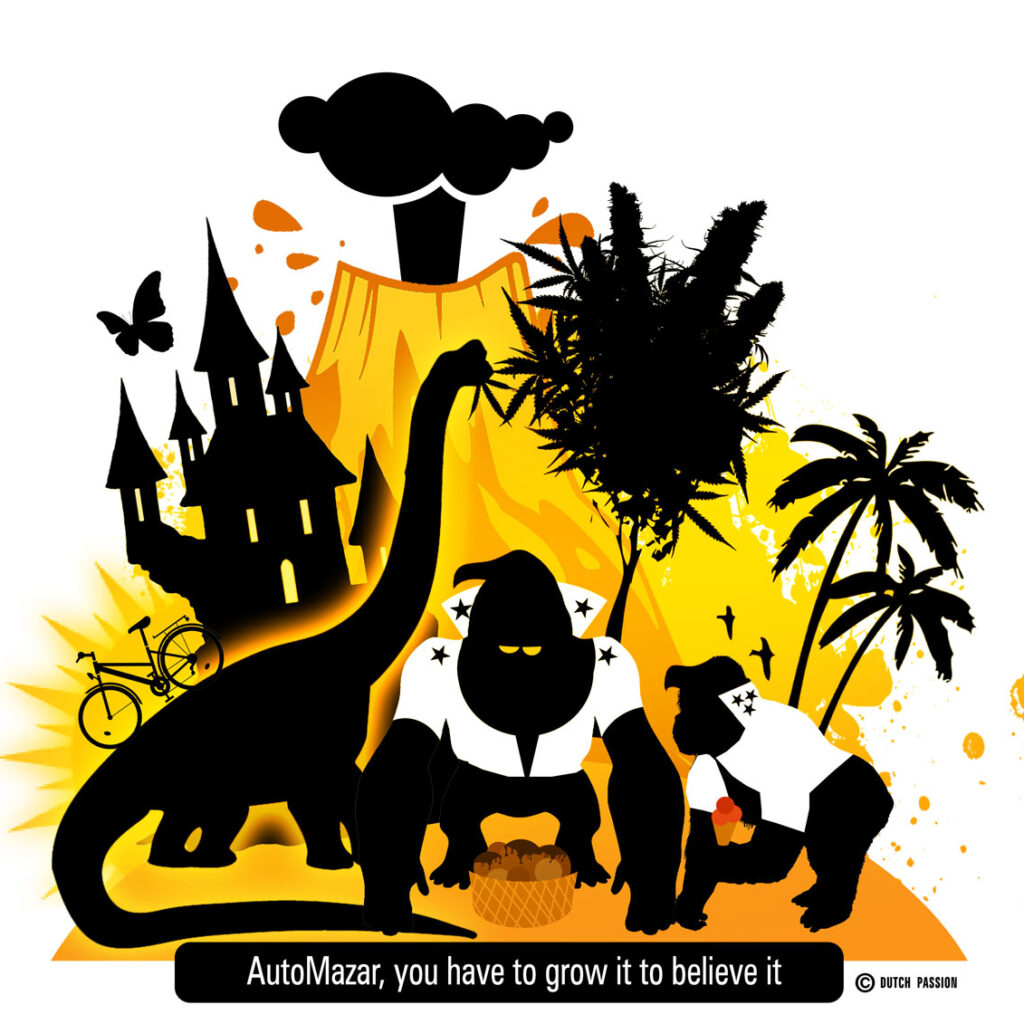 Auto Mazar ® Archives | Dutch Passion Blogs