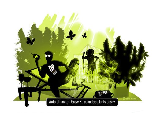 Auto Ultimate ® Archives | Dutch Passion Blogs