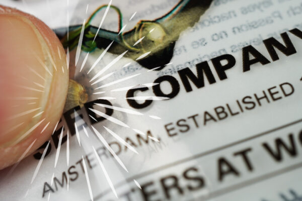 Flushing Cannabis: How, When and Why | Dutch Passion